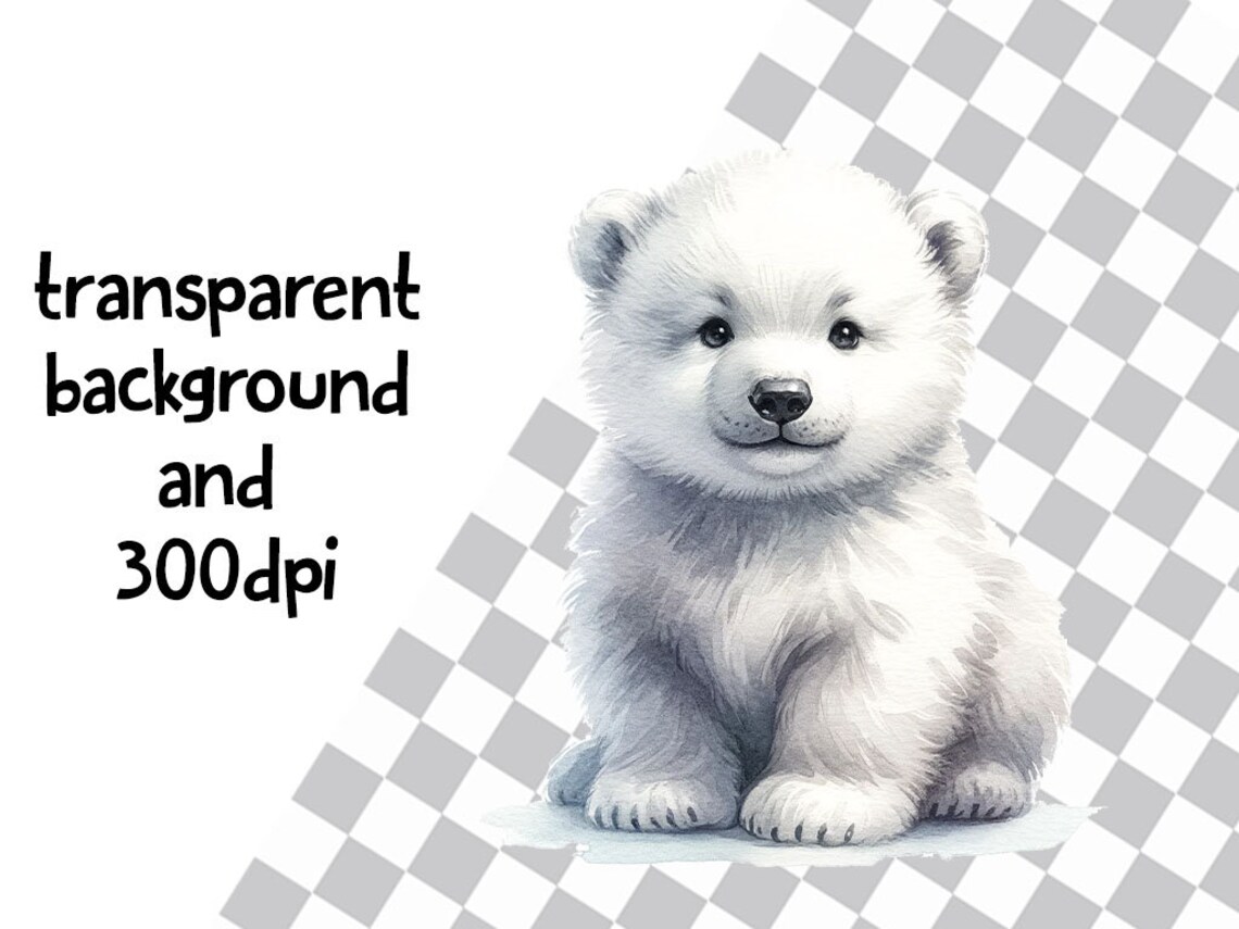 Baby Arctic Animals Digital Clipart - 13 PNG Files, Instant Download ...