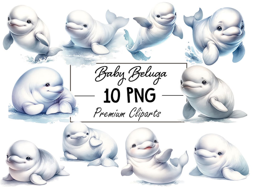 Charming Baby Beluga Clipart - 10 PNG Files, Instant Download for Ocean ...