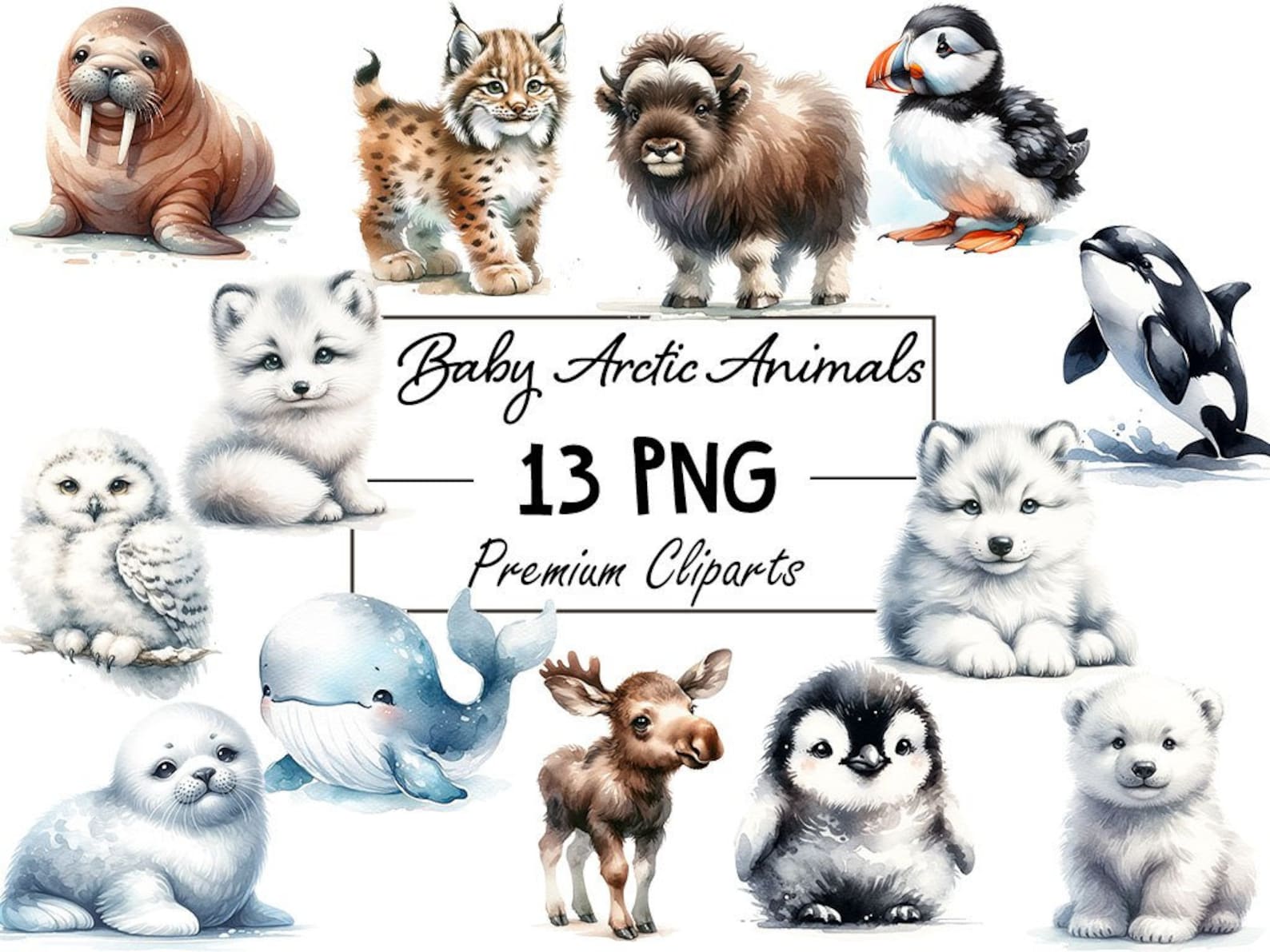Baby Arctic Animals Digital Clipart - 13 PNG Files, Instant Download ...