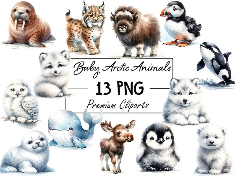 Baby Arctic Animals Digital Clipart - 13 PNG Files, Instant Download ...