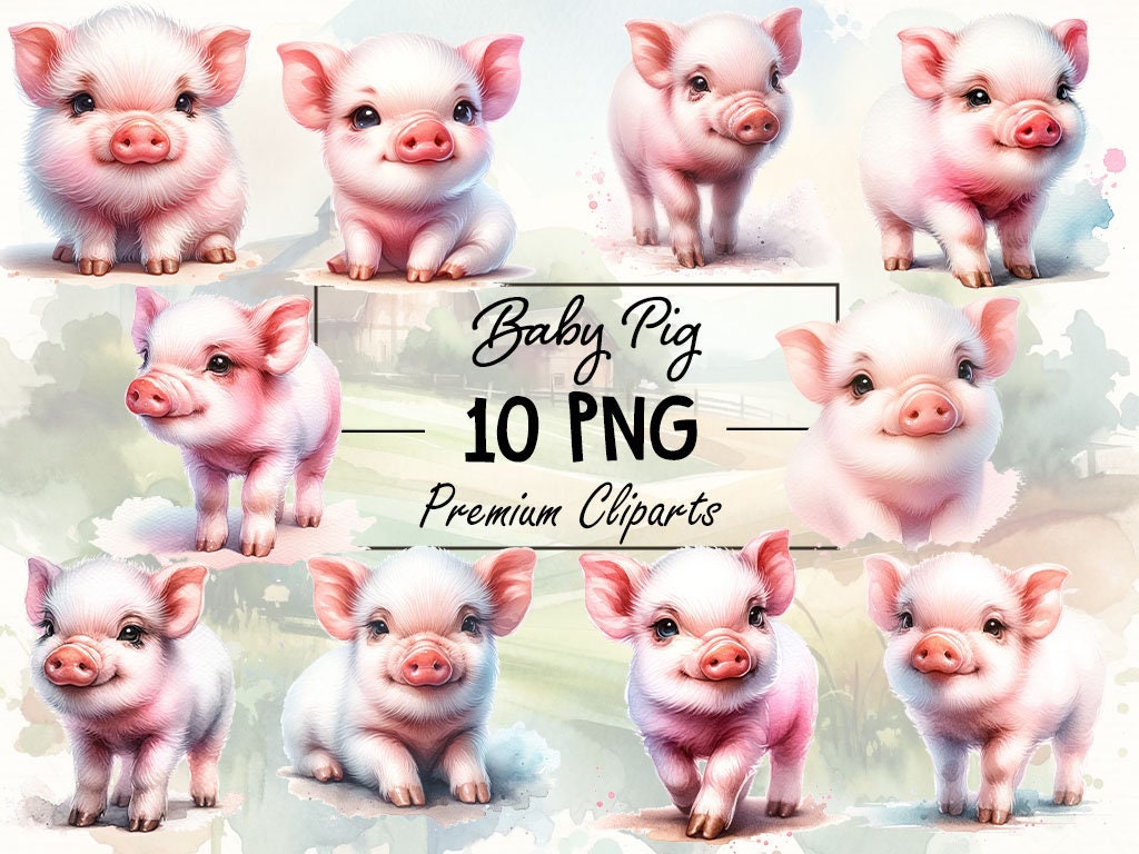 Charming Baby Pig Digital PNG Collection - Set of 10 Adorable Piglet ...
