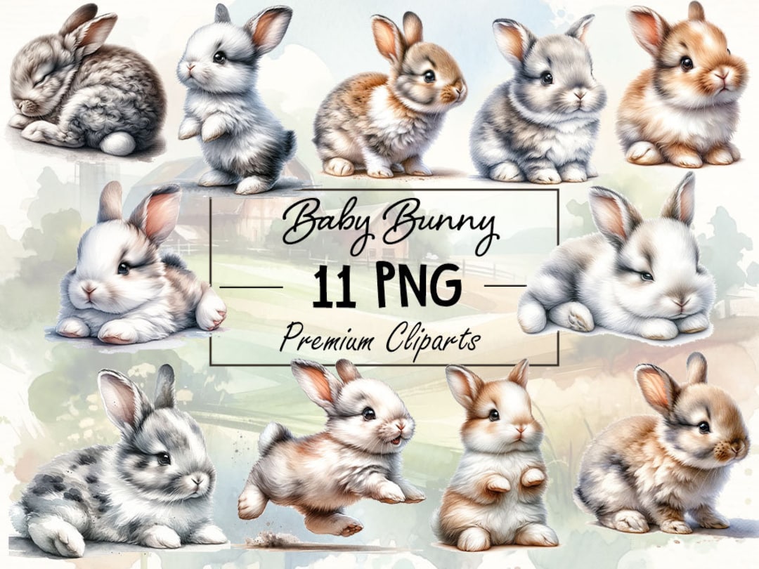 Delightful Baby Bunny PNG Collection - Set of 11 Charming Rabbit Images ...