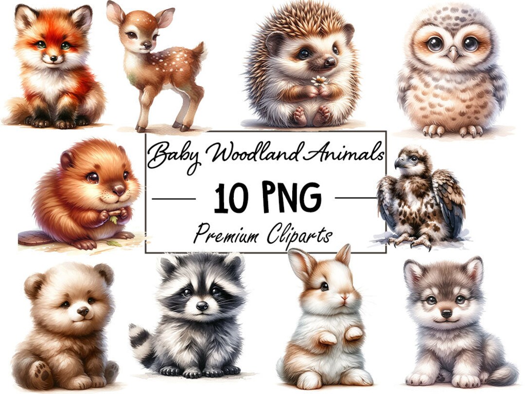 Baby Woodland Animals Digital Clipart - 10 PNG Files, Instant Download ...