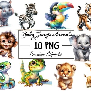 Adorable Baby Jungle Animals Clipart - 10 PNG Files for Exotic ...