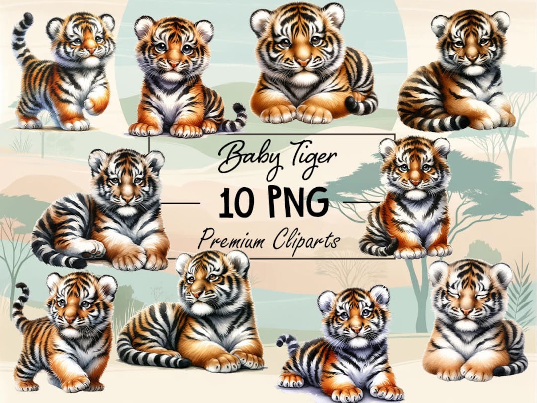 Adorable Baby Tiger PNG Collection - Set of 10 Majestic Tiger Cub ...