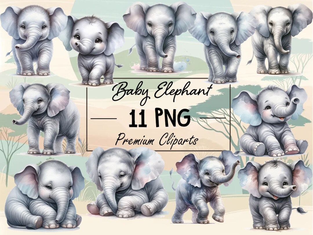 Baby Elephant Clipart Collection - 11 PNG Files - Instant Download for ...
