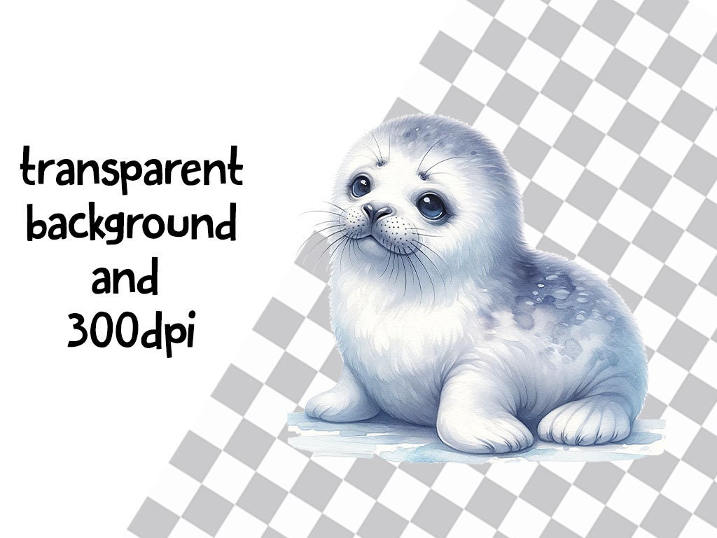 Cute Baby Harp Seal Collection - 10 PNG Digital Files, Instant Download ...