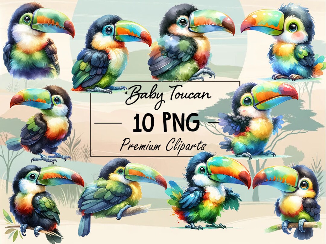 Vibrant Baby Toucan PNG Collection - Set of 10 Colorful Toucan Bird ...