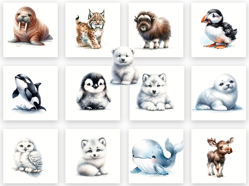 Baby Arctic Animals Digital Clipart - 13 PNG Files, Instant Download ...
