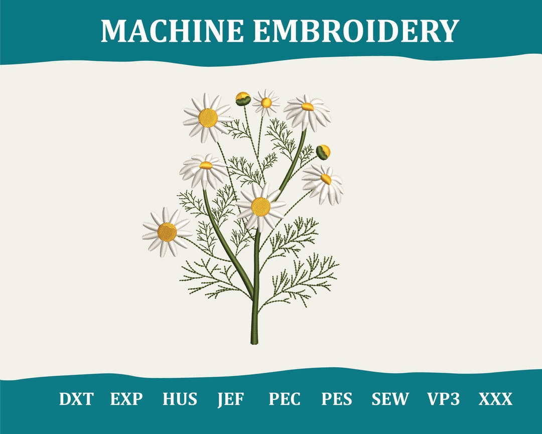Botanical Daisy Flower Design Embroidery, Wildflower Machine Embroidery ...
