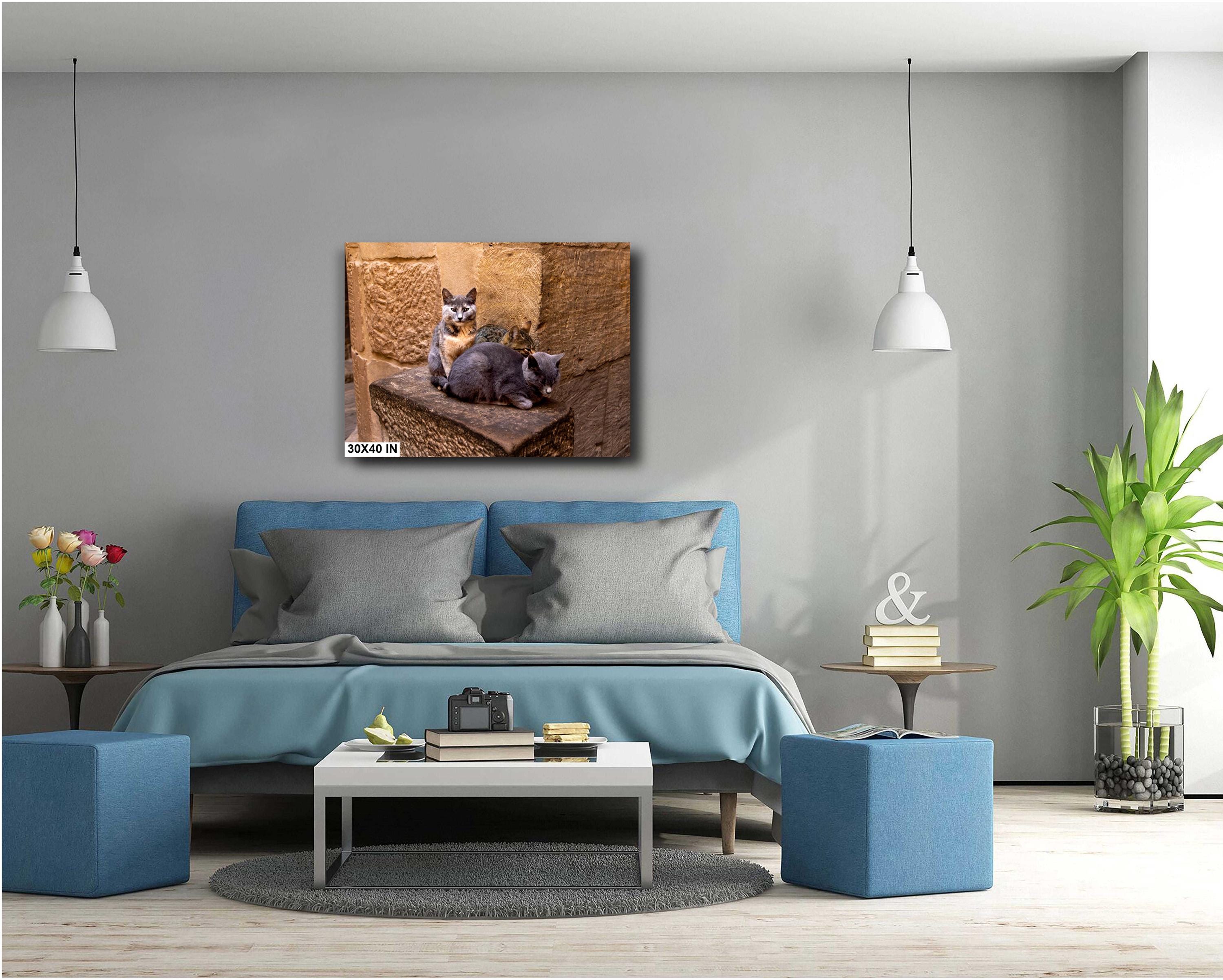 Canvas Photograph of Egyptian Temple Cats - Etsy