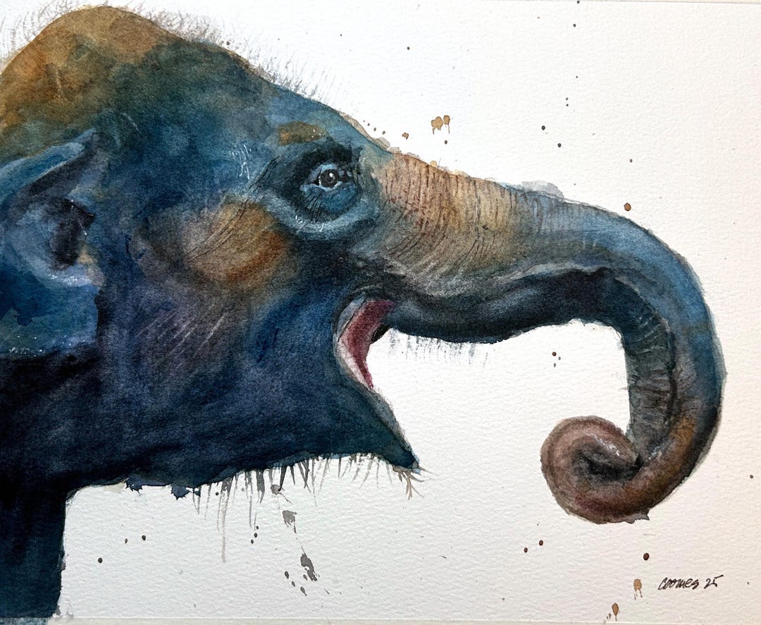 ORIGINAL WATERCOLOR: Elephant Head Painting - Etsy