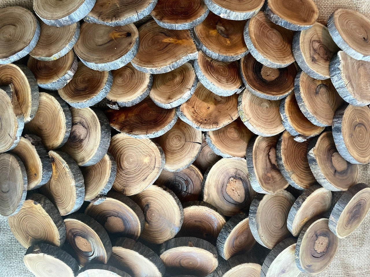 30 3-3 1/2 Blank Wood Rounds Beautiful Waxed Hardwood Wood Slices for ...