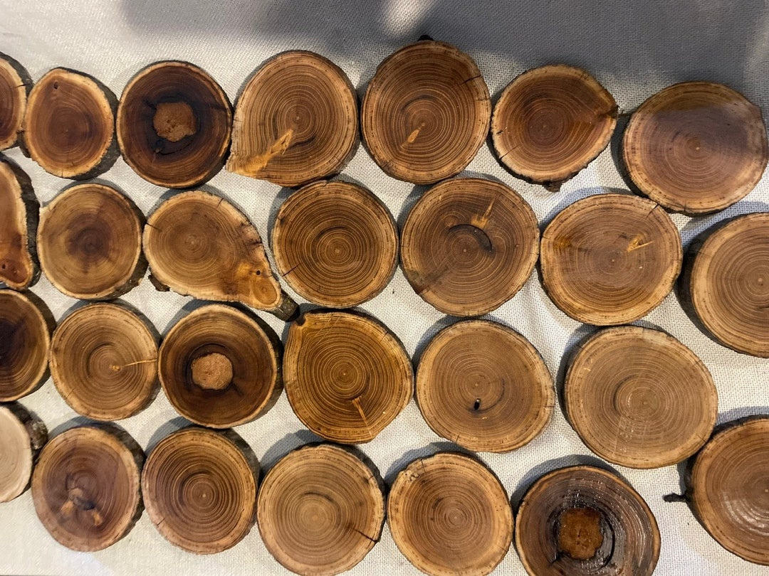 30 3-3 1/2 Blank Wood Rounds Beautiful Waxed Hardwood Wood Slices for ...