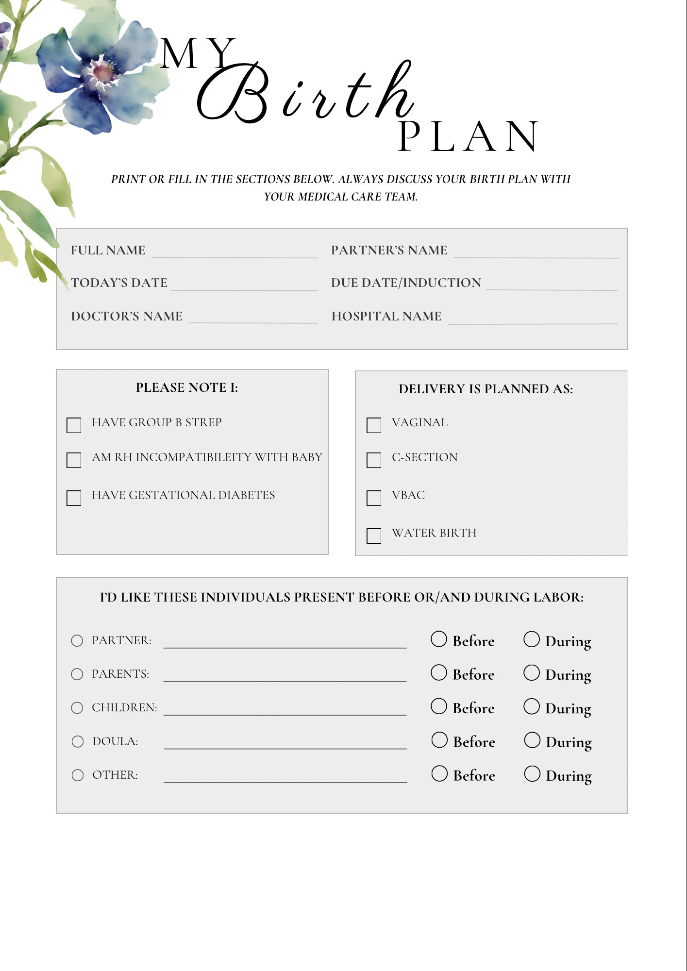 Birthing Plan Template, Birth Plan Printable, Visual Birth Plan, Birth ...