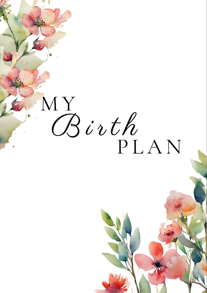 Birthing Plan Template, Birth Plan Printable, Visual Birth Plan, Birth ...