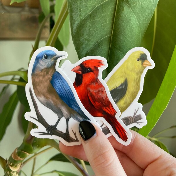 Bluebird Stickers - Etsy