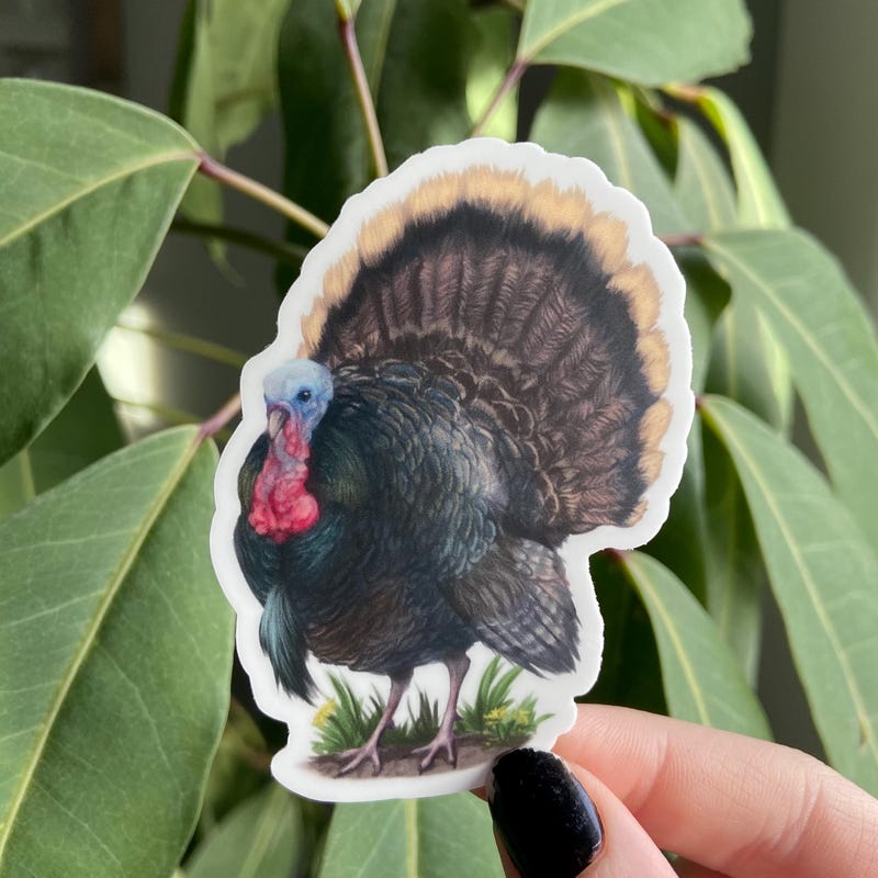 Turkey Stickers - Etsy