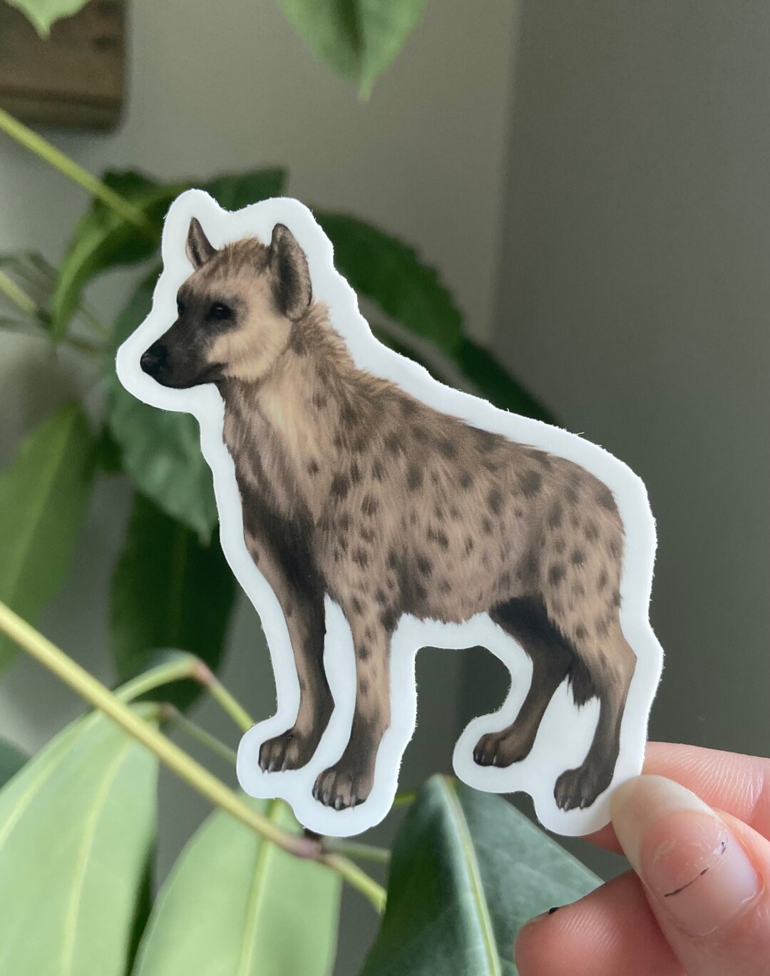 Hyena Sticker | Spotted Hyena Sticker, Wildlife Sticker, Safari Sticker ...