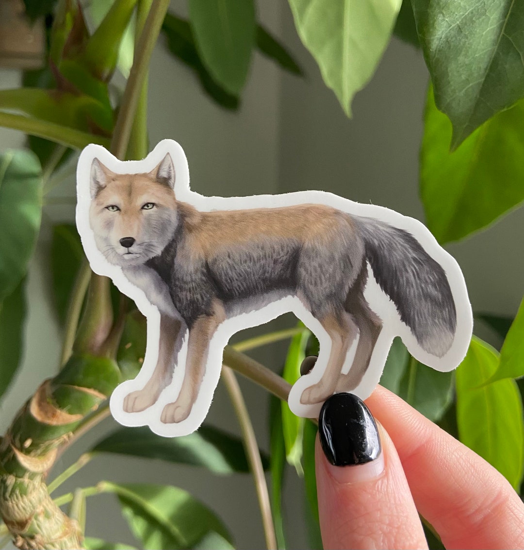 Tibetan Fox Sticker: Waterproof Vinyl Sticker - Etsy