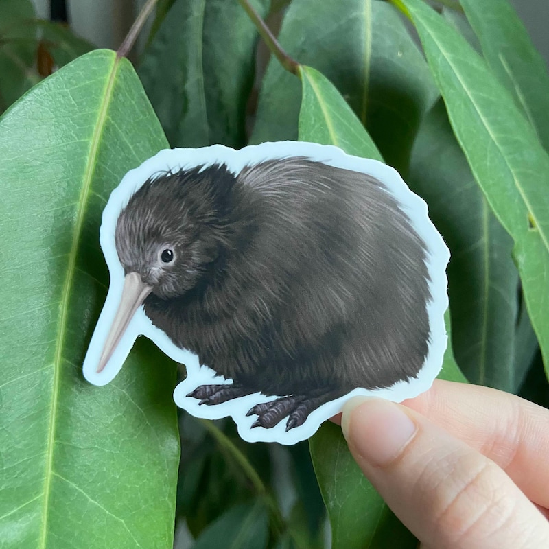 Kiwi Bird - Etsy