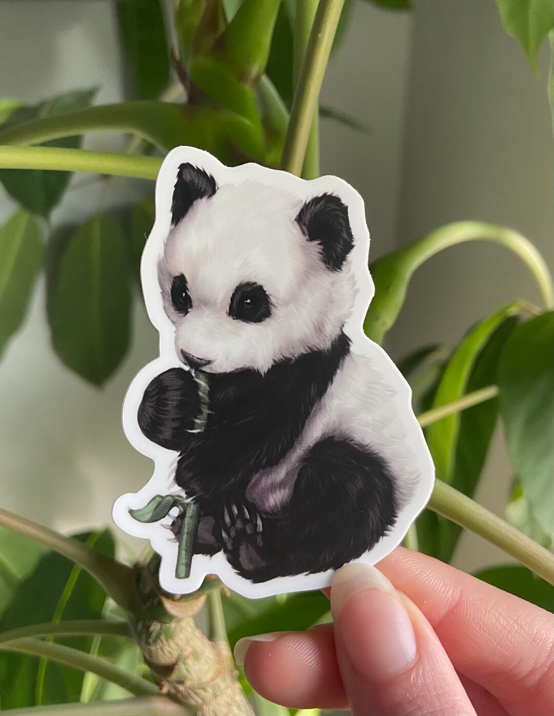 Baby Panda Sticker | Panda Bear Sticker, Water Bottle Sticker, Cute ...