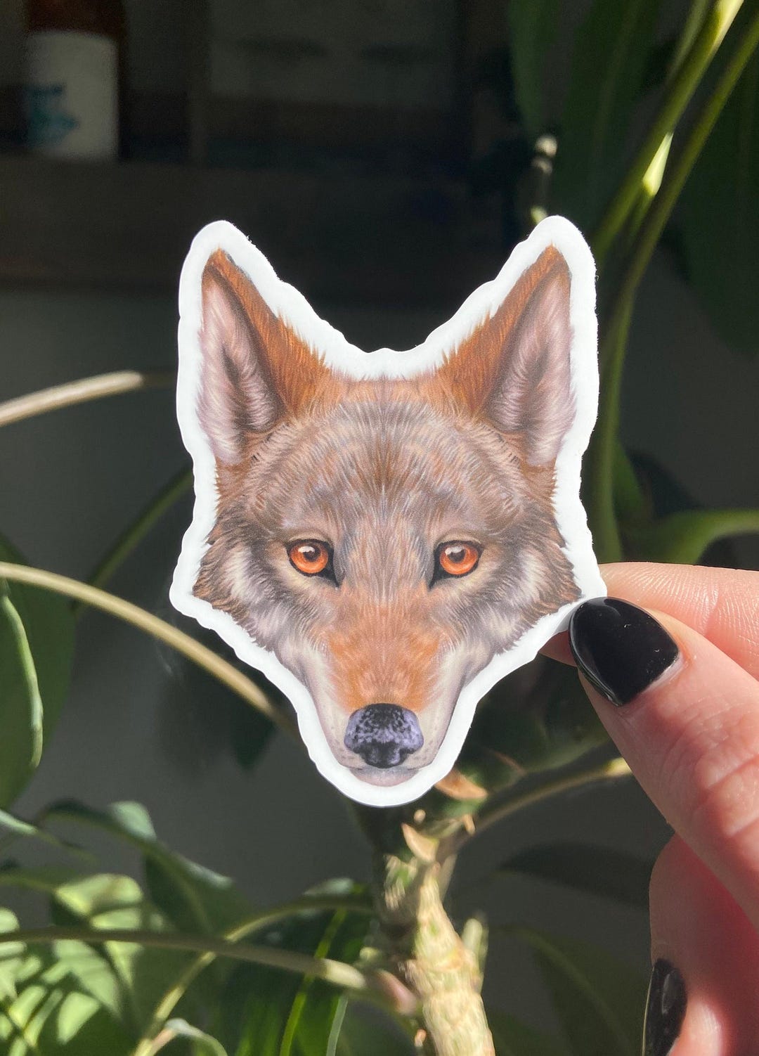 Red Wolf Sticker | Wolf Sticker, Conservation Sticker, Water Bottle ...