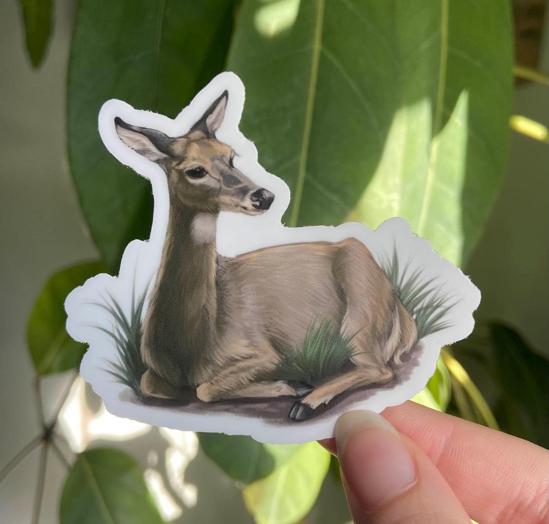 Whitetail Deer Doe Sticker: Waterproof Vinyl - Etsy