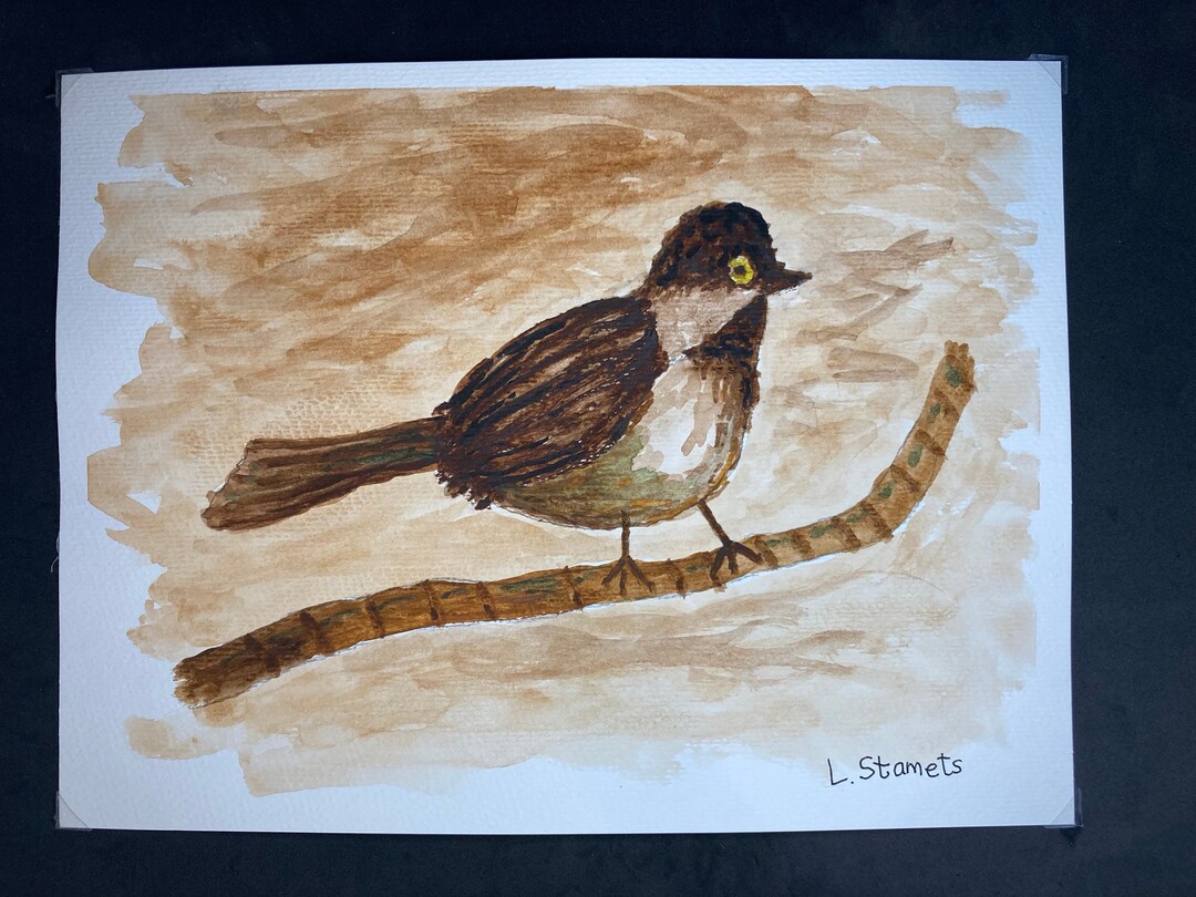 Original Watercolor Painting, Brown Bird on Branch - Etsy
