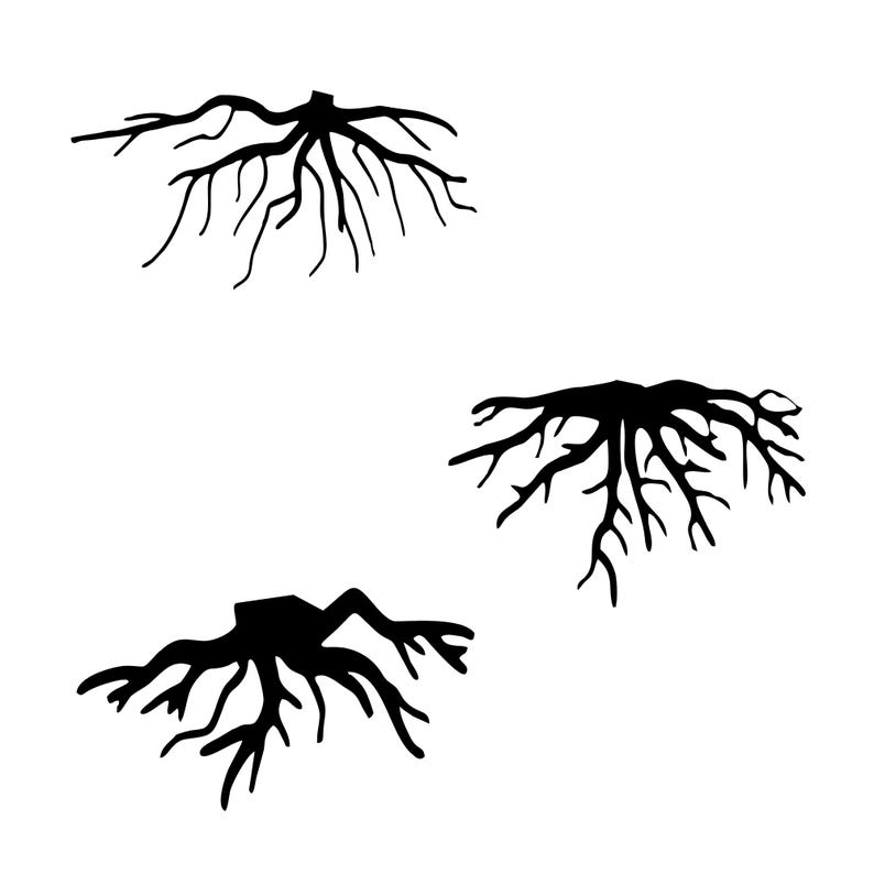 Tree Roots Svg Bundle, Roots Clipart, Roots Vector, Tree Roots Decal ...