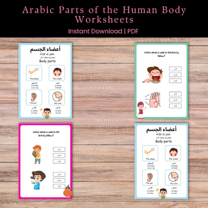Arabic Body Parts Worksheets: Kids' Learning Activity (A4 PDF Download ...