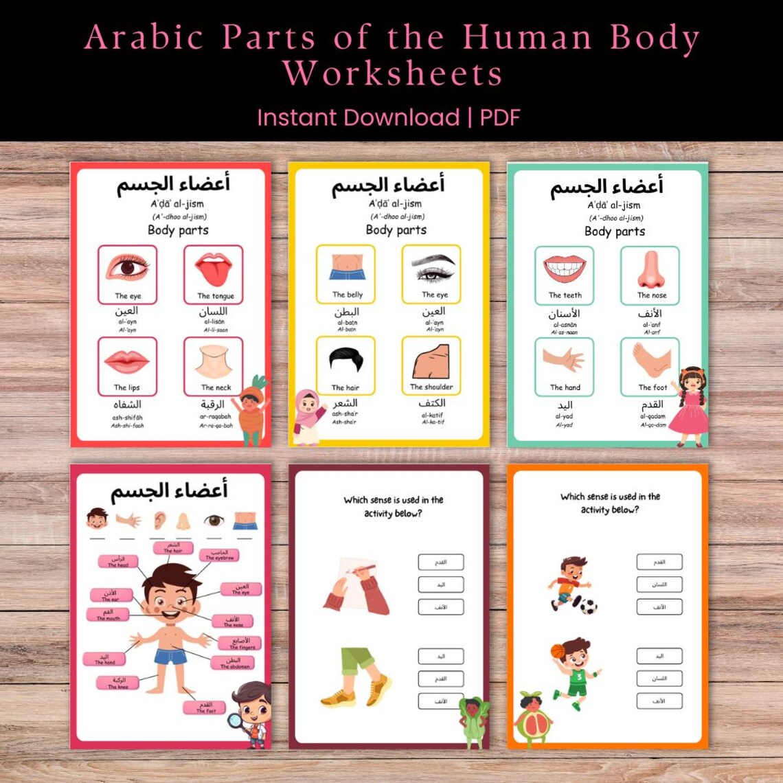 Arabic Body Parts Worksheets: Kids' Learning Activity (A4 PDF Download ...