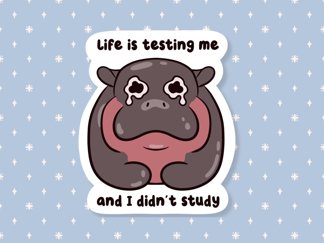 Life is Testing Me I Didn't Study Crying Hippo Sticker, Funny Meme ...