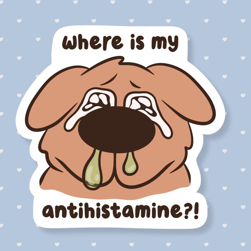 Funny Allergy Memes - Etsy