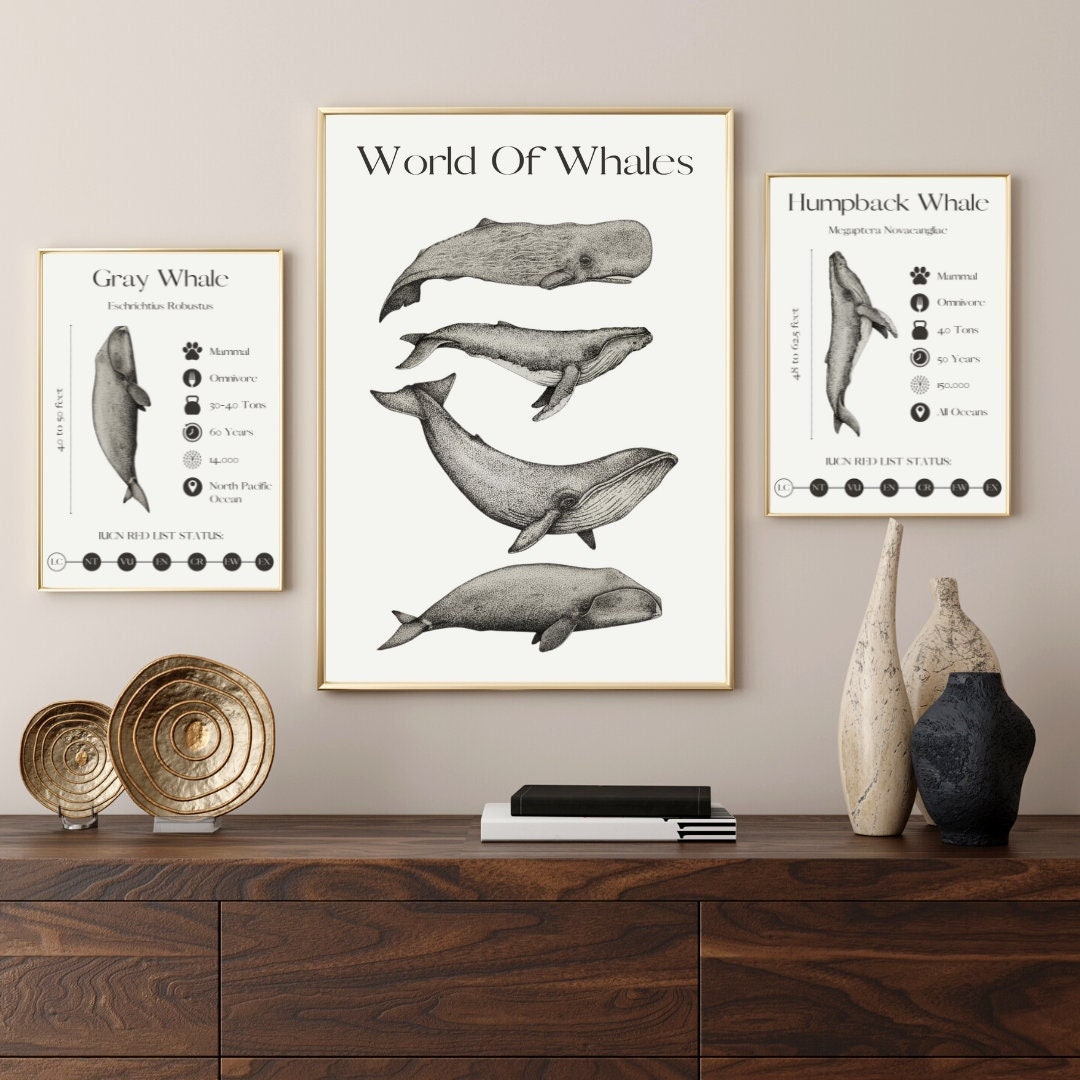 Classroom Poster World of Whales Print Gallery Wall Set 5 Count ...
