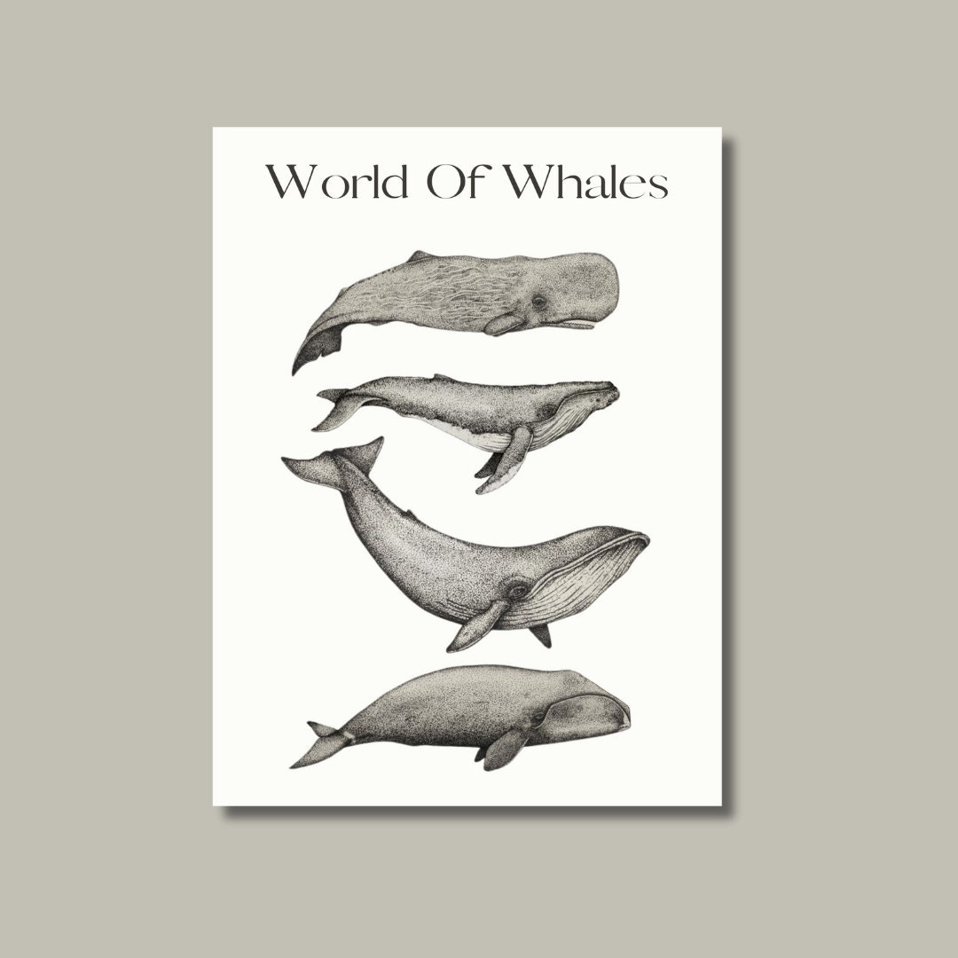 World of Whales Print Nautical Home Decor Ocean Mammals Wall Decor ...
