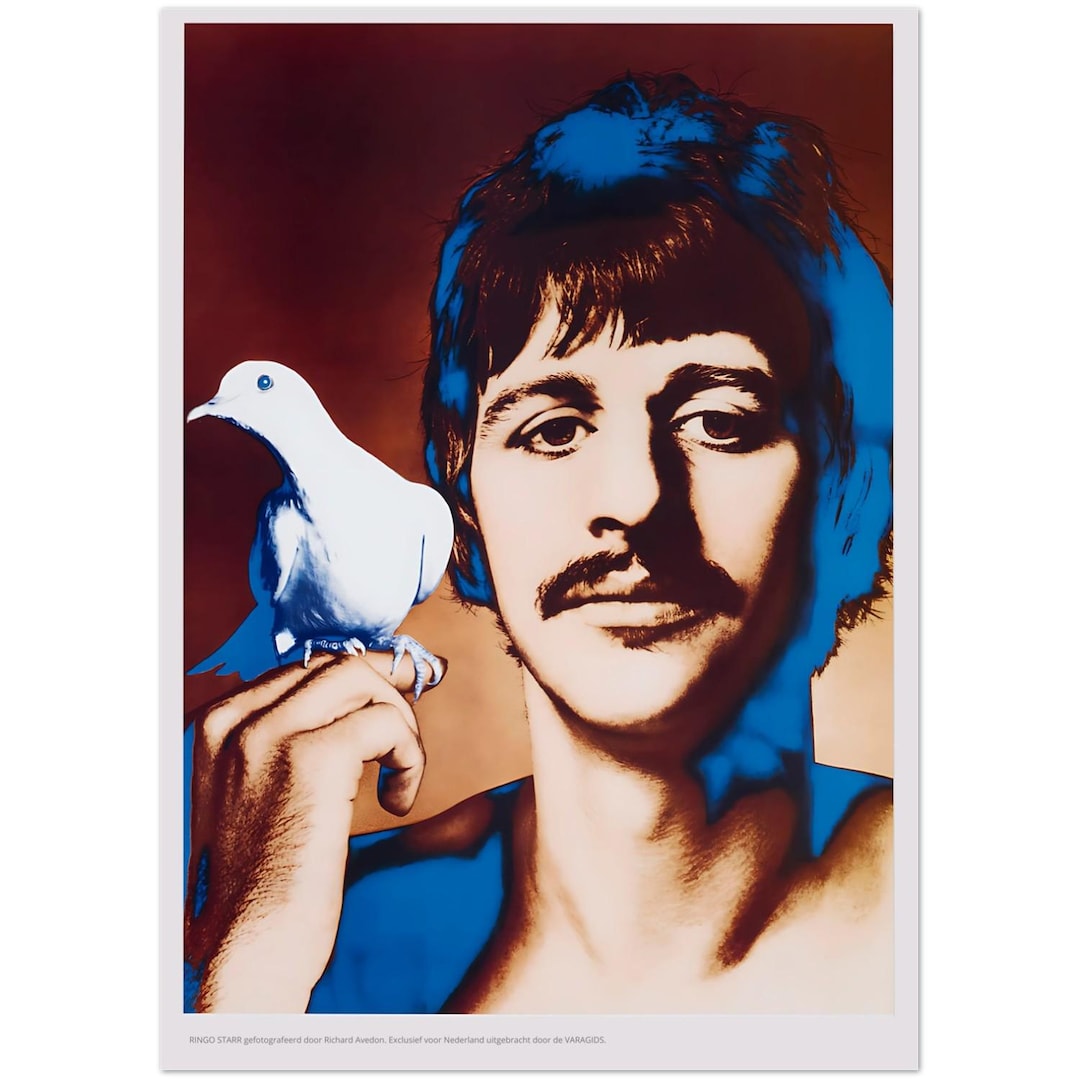 Ringo Starr Beatles Offset Lithograph in Colors FREE SHIPPING - Etsy