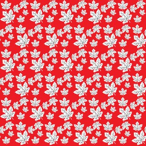 Canada Day Digital Papers - Etsy