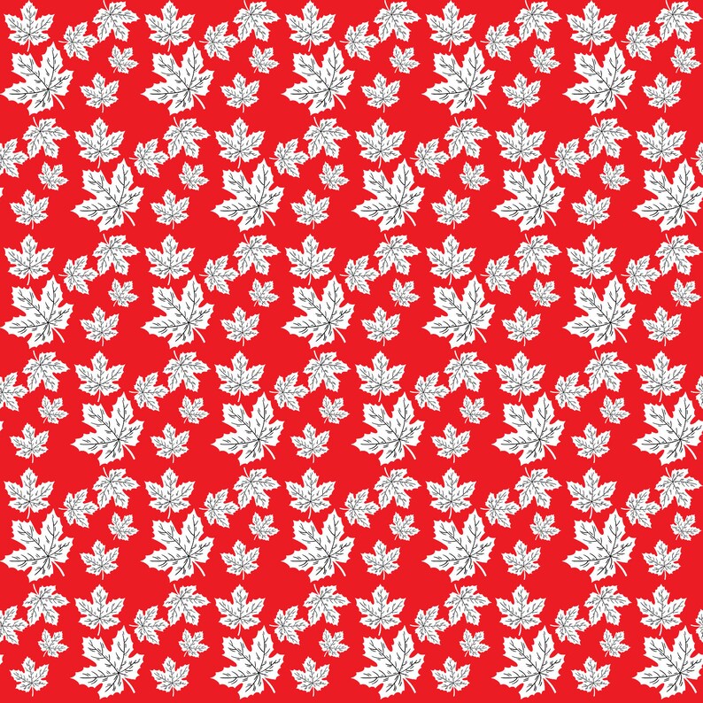 Canada Day Digital Papers - Etsy