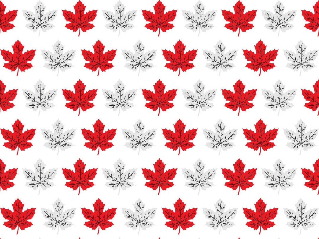 Canada Day Digital Papers - Etsy