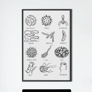 Microbiology Wall Art Virology, Immunology, Microbiology Gifts, Virus ...