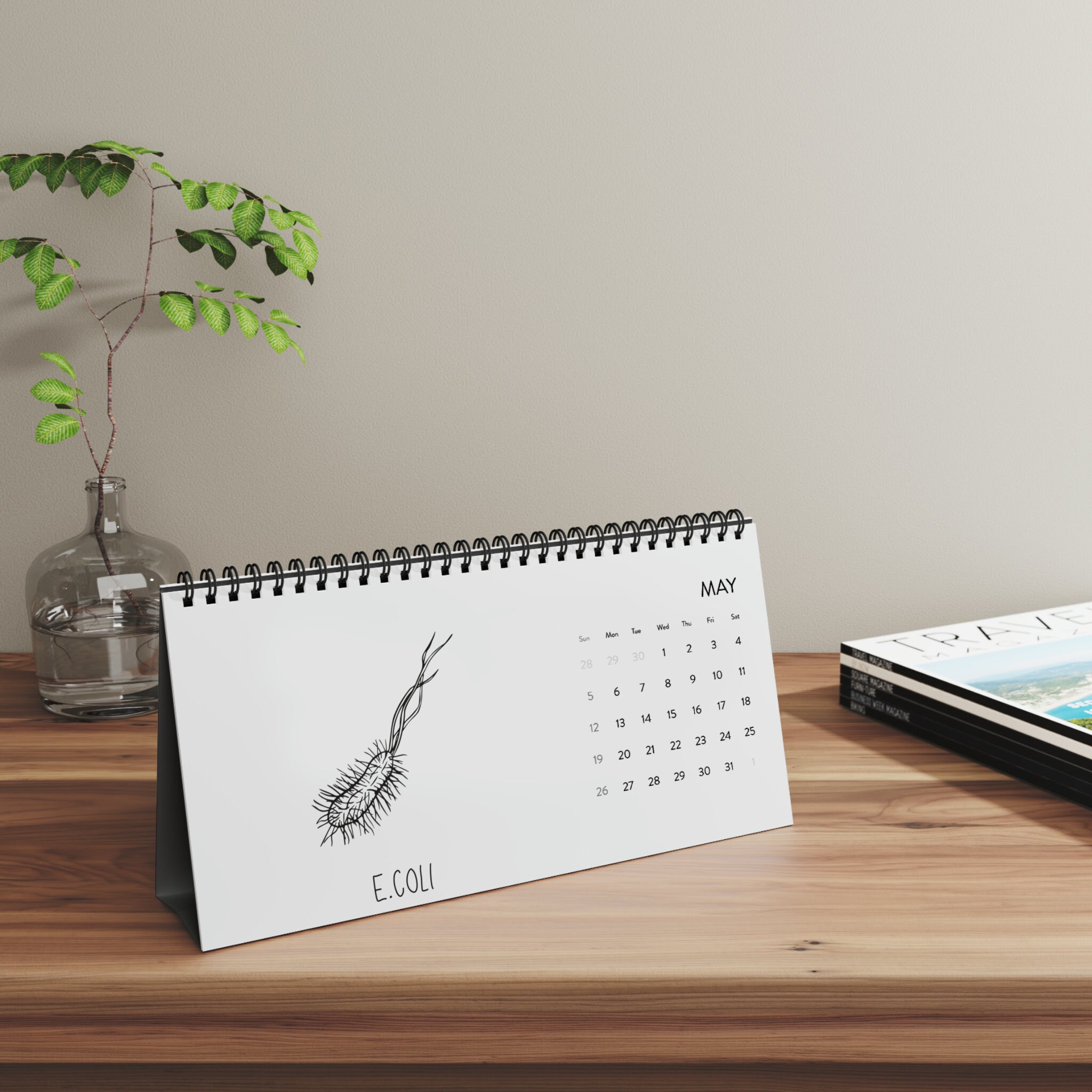 Microbiology 2024 Calendar Science Calendar, Microbiologist, Virology ...