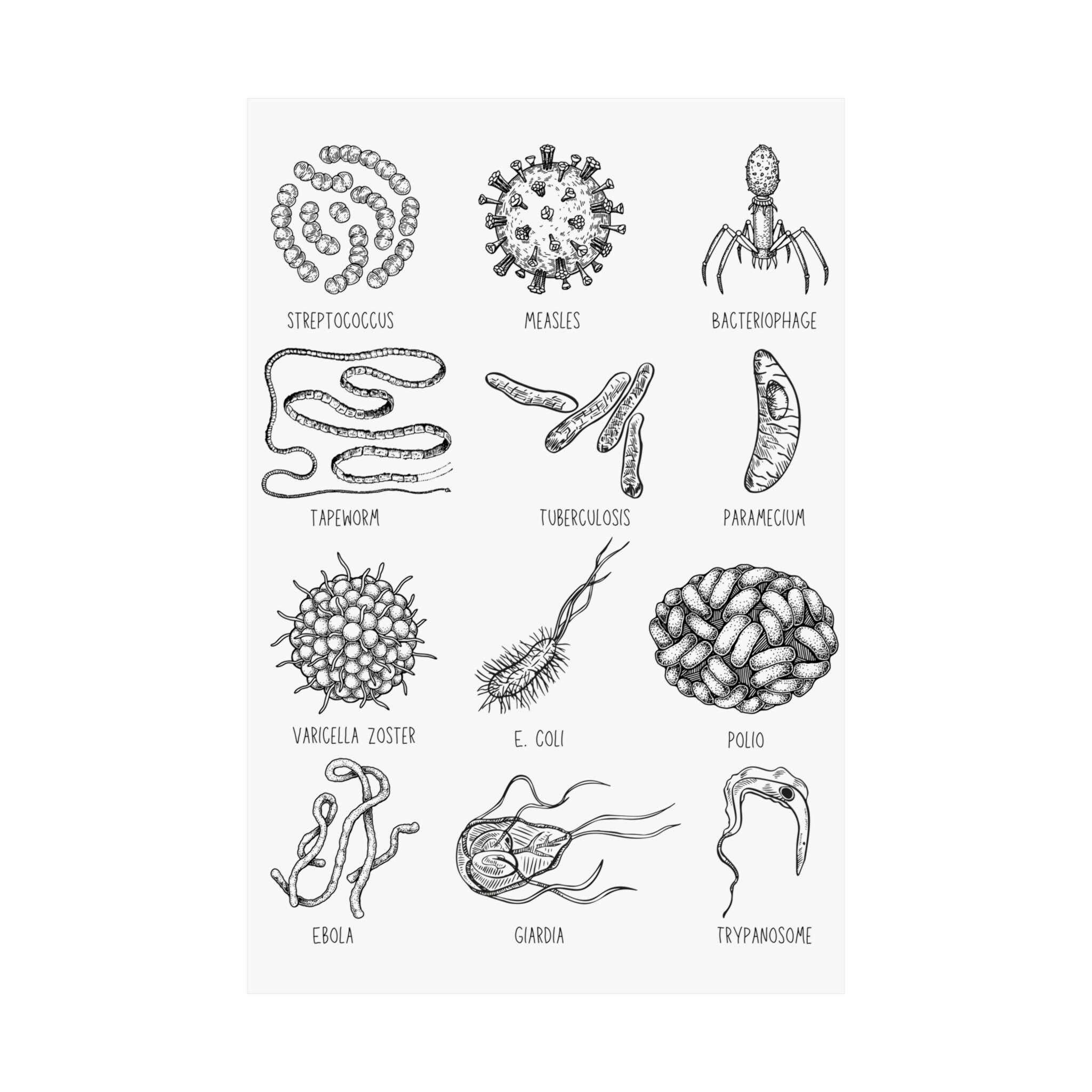 Microbiology Wall Art Virology, Immunology, Microbiology Gifts, Virus ...