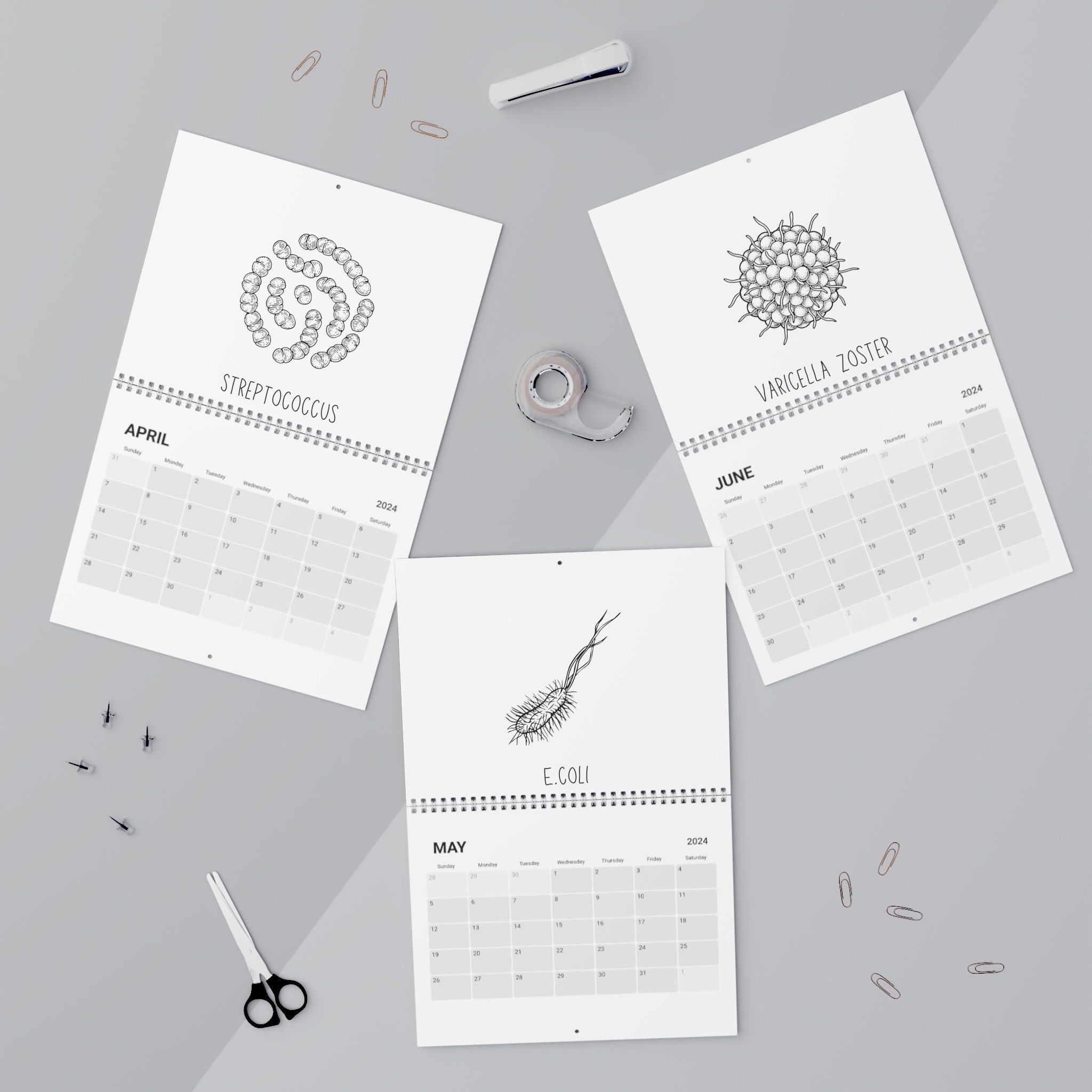 Microbiology Calendar 2024 Science Calendar, Microbiologist, Virology ...