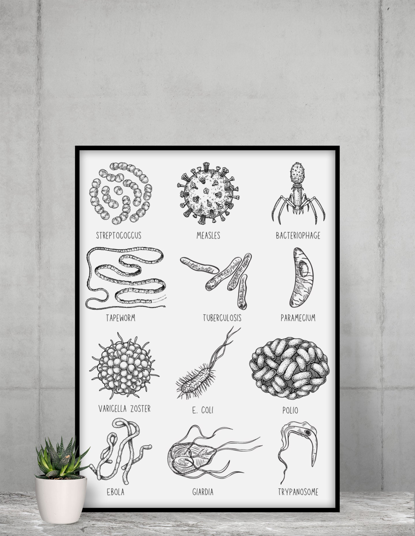 Microbiology Wall Art Virology, Immunology, Microbiology Gifts, Virus ...