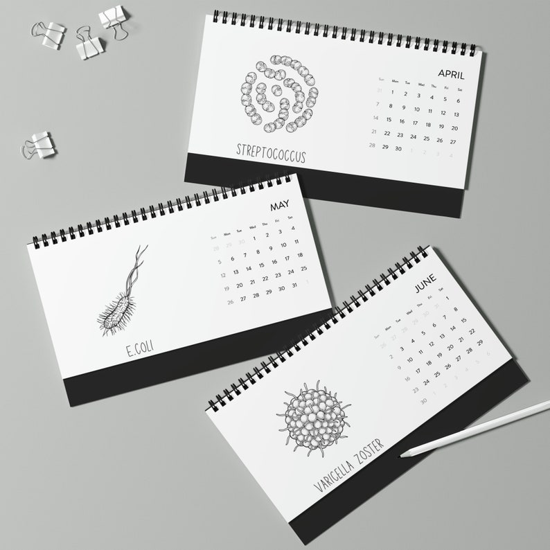 Microbiology 2024 Calendar Science Calendar, Microbiologist, Virology ...