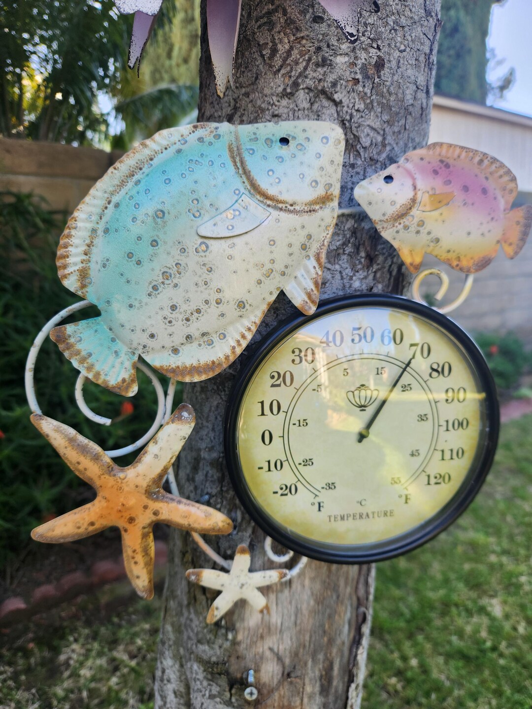 Tropical Fish Wall Decor, Decorate Wall & Fence, Outdoor Garden Decor ...