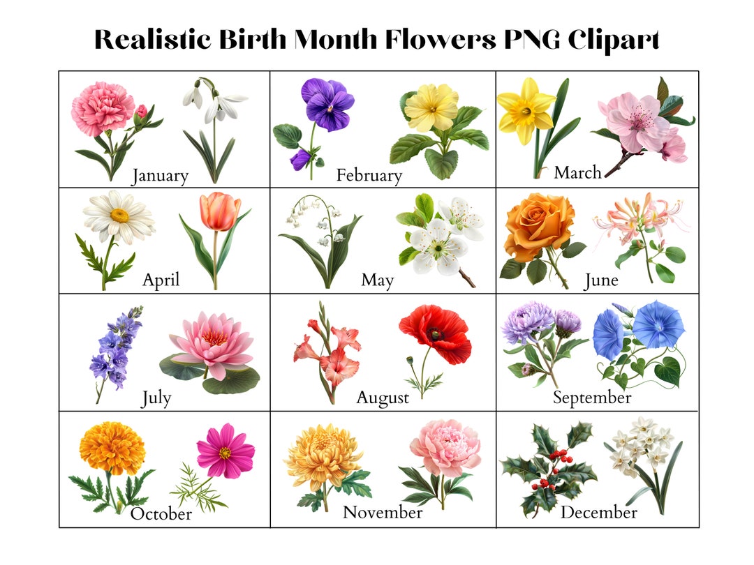 Realistic Birth Month Flowers | 24 Flowers With 12 Filler Flowers ...