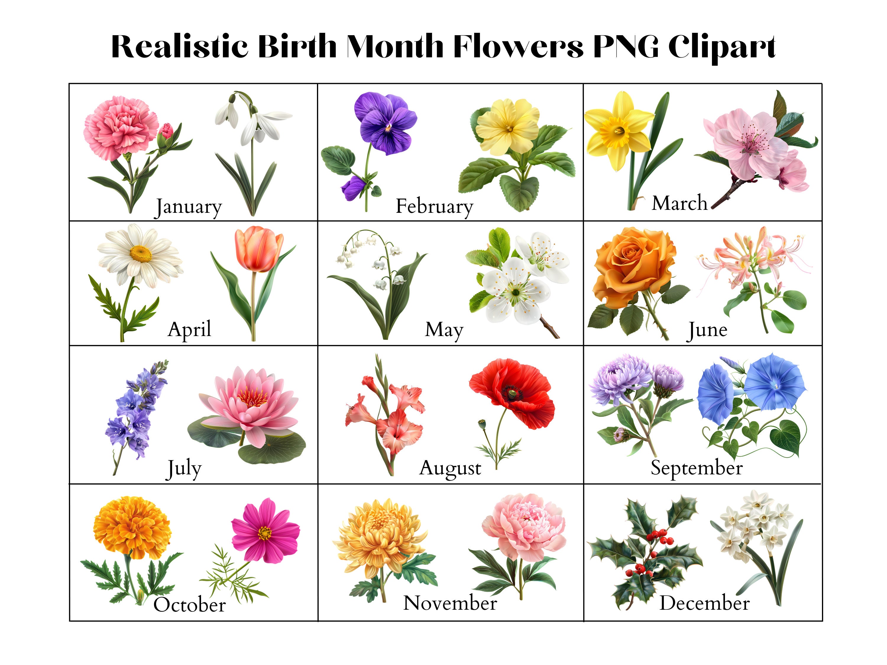 Realistic Birth Month Flowers | 24 Flowers With 12 Filler Flowers ...