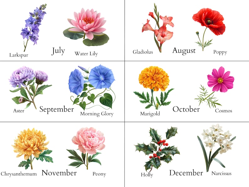 Realistic Birth Month Flowers | 24 Flowers With 12 Filler Flowers ...